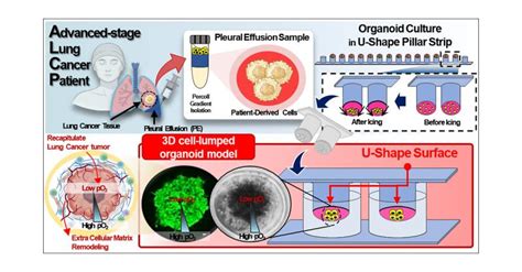 Jeong Uk Lim On Linkedin U Shape Pillar Strip For 3d Cell Lumped