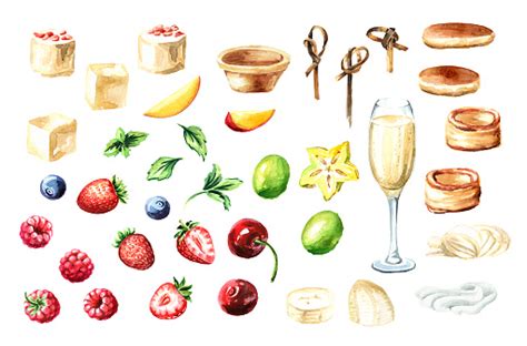 축제 음식 과일과 딸기 요소 세트 달콤한 카나페 흰색 배경에 격리 된 수채화 손으로 그린 그림 샴페인 와인에 대한 스톡 벡터 아트 및 기타 이미지 Istock