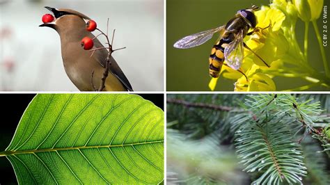 A Move Towards Trait Data Democracy Creating The Ecological Trait Data