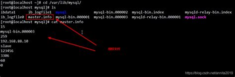 13、mysql主从复制的实现过程及部署mysql主从复制——实战过程讲解（超详细） Csdn博客