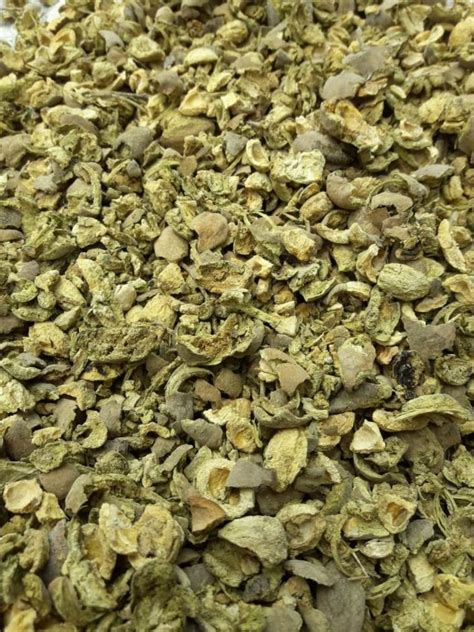 Behada Chilka Botanical Name Terminalia Bellirica Packaging Size 50