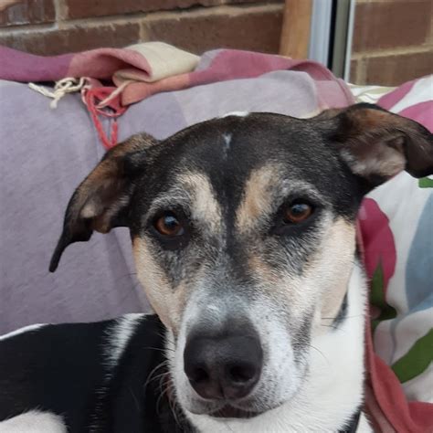 Julie Scarsbrook Youtube