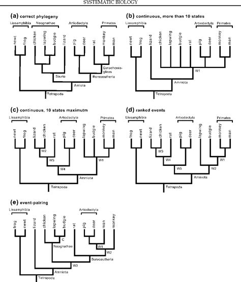 Figure 1 From Developmental Characters In Phylogenetic Inference And Their Absolute Timing