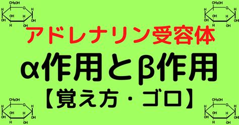 甲状腺疾患の鑑別疾患と触診所見まとめ【cbt国家試験対策】 ゴロゴロ医学