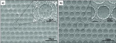 Sem Image Of The Nanodot Array Structures Induced By Fs Laser Single Download Scientific