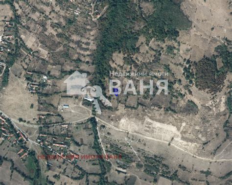 Лозе в Земеделска земя в с Найден Герово Id37953551 — Bazar Bg