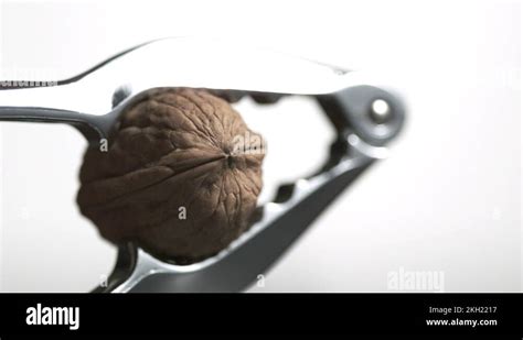 White Cracker Stock Videos And Footage Hd And 4k Video Clips Alamy