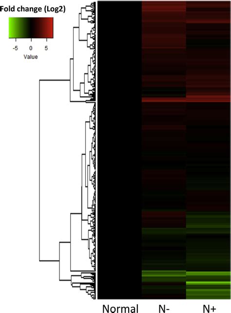 hierarchical clustering demonstrating the global and distinct