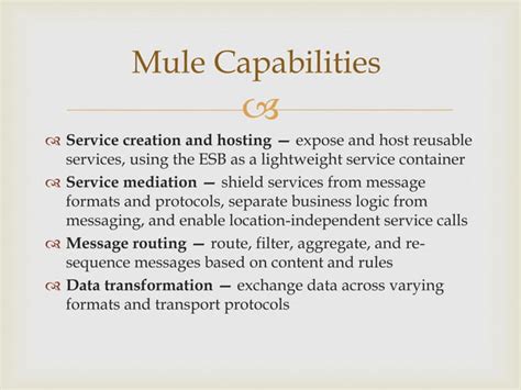 Mule Esb Ppt