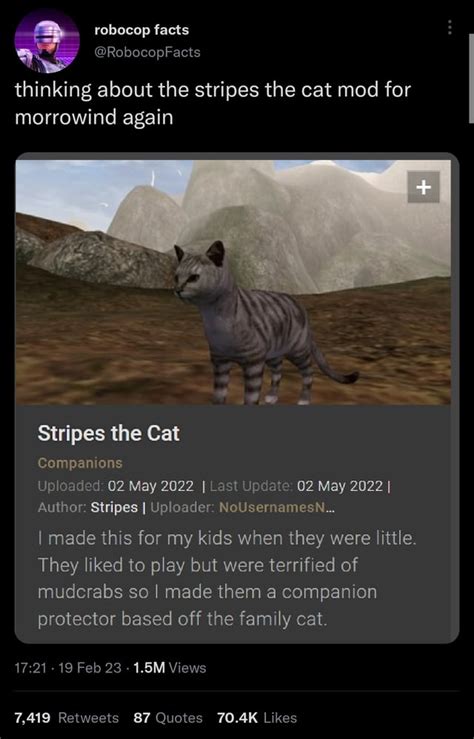 Rule Rkenshi