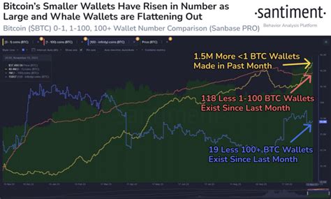 why rising bitcoin transaction fees can be a bullish sign