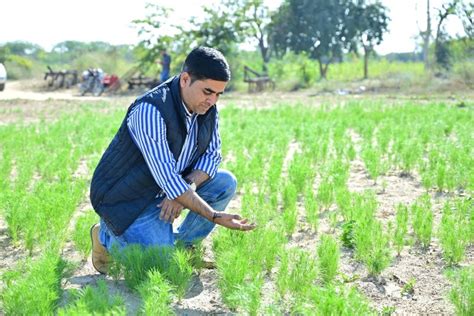 Rapidorganic Yogeshjoshi Agriculture Organicfarming Herbsandspices
