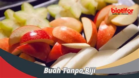 Buah Tanpa Biji Nikmatnya Kesempurnaan Alami Biotifor