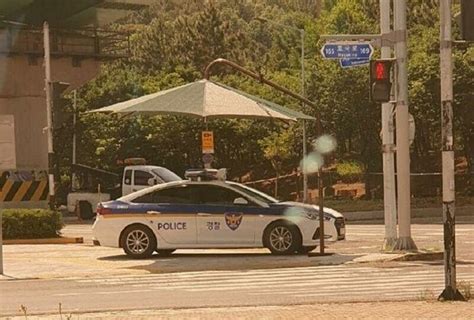 여름만되면 나타나는 불법주차 유머 재미 감동 네모판