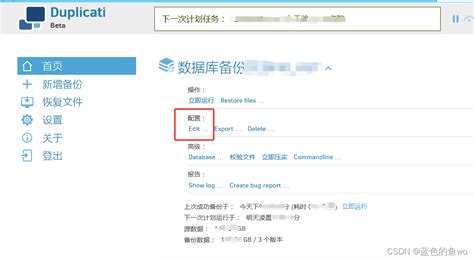 开源免费备份系统duplicati使用记录 磁盘已满处理 Csdn博客