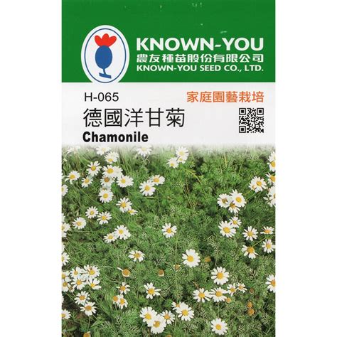 【拈花微笑】德國洋甘菊｜香藥草種子｜500粒｜非基因改造種子｜蔬菜｜蔬果｜有機無毒｜高發芽率 蝦皮購物
