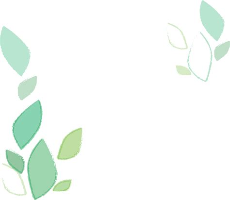 Гъби шийтаке 4 изумителни ПОЛЗИ как да си приготвим