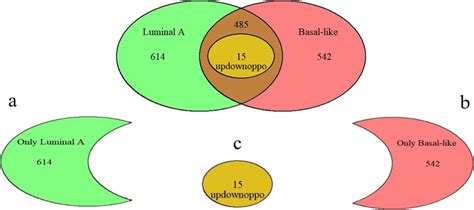 Expression Patterns Of The Differentially Expressed Genes In Luminal A
