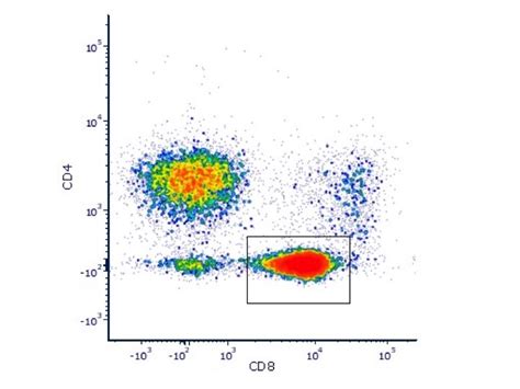 Bright Cd8 For Mouse Cells Biocompare Antibody Review