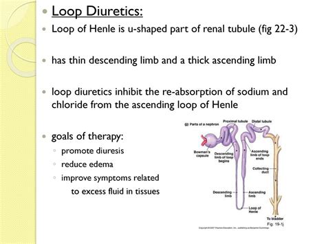 Loop Of Henle Diuretics