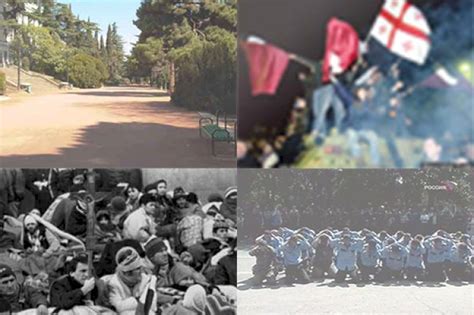 დავით გამცემლიძე Гамцемлидзе Давид Davit Gamcemlidze