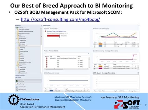 Mastering Sap Monitoring Businessobjects Bobj Monitoring