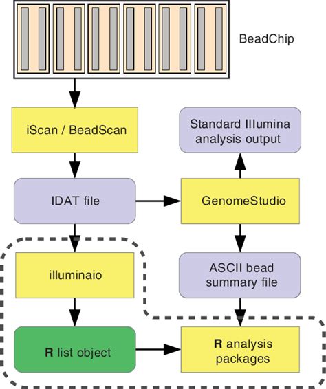 Figure 1 From WEB TOOL An Open Source IDAT Parsing Tool For Illumina