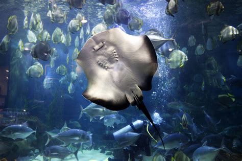 Khám phá vườn quốc gia Ba Vì lá phổi xanh phía Tây Hà Nội