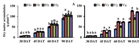 Effect Of Herbicidea And Variety B On Dry Matter Accumulation Plant Download Scientific