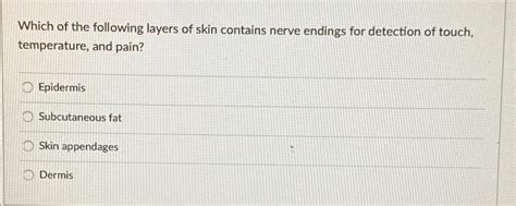 Solved Which Of The Following Layers Of Skin Contains Nerve Chegg