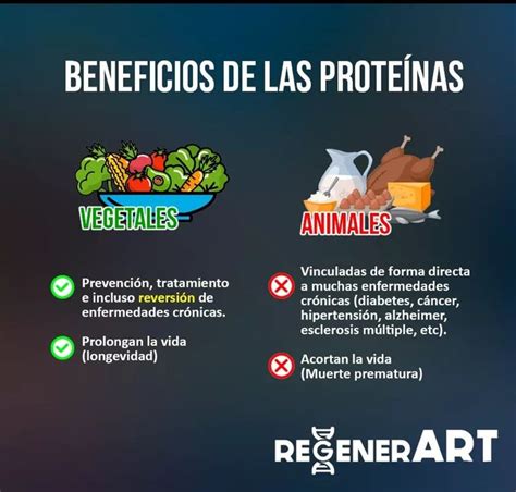 Beneficios De Las Proteínas Frosted Flakes Cereal Box Cereal Box