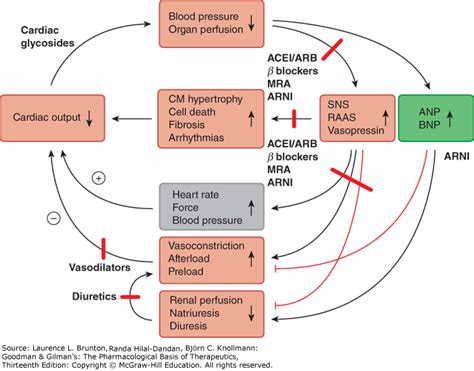 Cardiac Output Flow Chart Ponasa