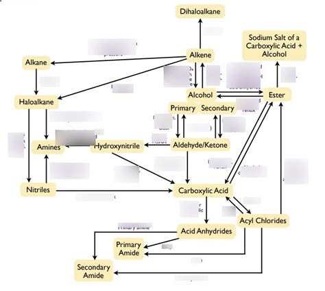 Synthetic Routes Part 2 Diagram Quizlet