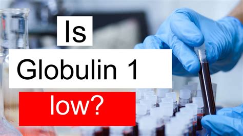 Is Globulin 1 Low Normal Or Dangerous What Does Globulin Level 1 Mean