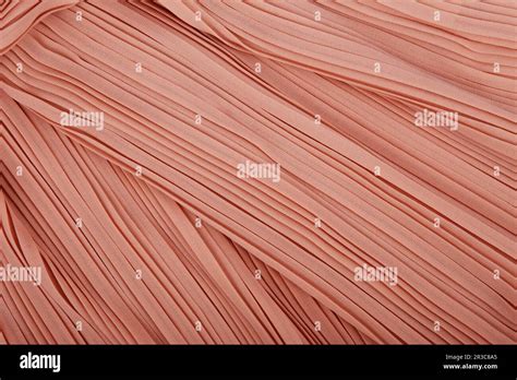 Plisse Fabric Background Texture Pleated Skirt Fabric Texture Closeup