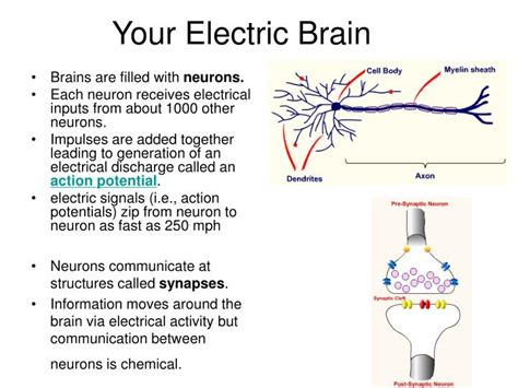 Ppt Brain Computer Interface Powerpoint Presentation Id5503327