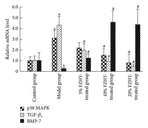 Normalization Of Tgf β 1 Bmp 7 Ratio By Fzhy Recipe Inhibits P38 Mapk