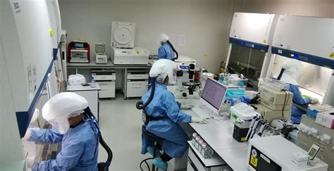 Bsl 3 Laboratory Openscholar
