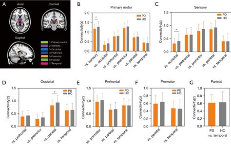 Thalamic Functional Connectivity On 7 Tesla Magnetic Resonance Imaging