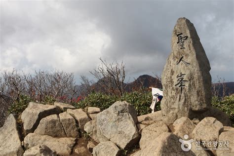 성인봉 원시림 울릉도 독도 국가지질공원