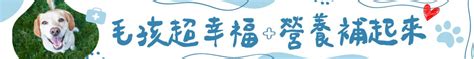 按摩真能緩解頭痛？中醫教你掌握頭痛「經絡」！ 針對不同位置按11穴位 健康醫療網