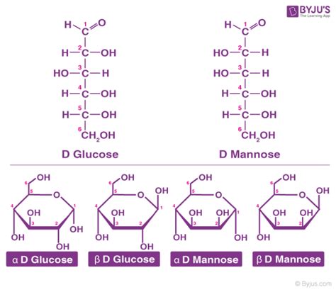 Classification Of Carbohydrates Carbohydrate Definition Types Of