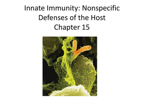 Innate Immunity Nonspecific Defenses Of The Host Chapter Of The