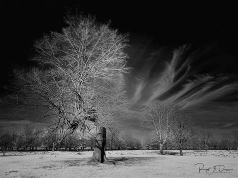 Iphone Infrared New Filter Mount Option