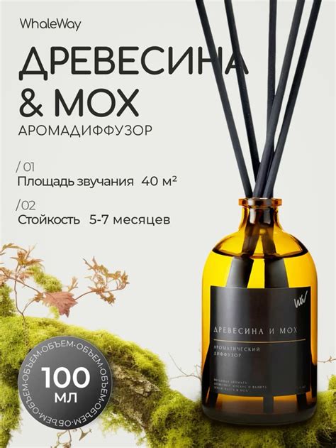 Инфографика для аромадиффузора | Инфографика, Дизайн, Картинки
