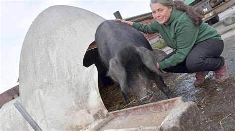 Serie „so Lebt Ostfriesland Graf Bobby Von Sonnenschein Ein Star