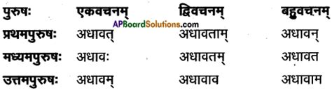 TS Inter 1st Year Sanskrit Model Paper Set 5 With Solutions AP Board