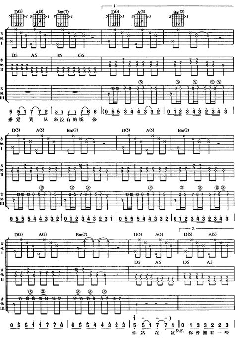 《那一年》简谱吉他谱对照 乐谱 许巍 鲁皮皮