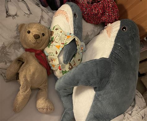 They’re chilling : r/BLAHAJ