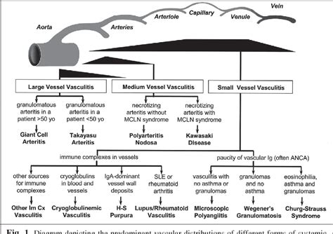 Table I From The Role Of Pathology In The Diagnosis Of Systemic